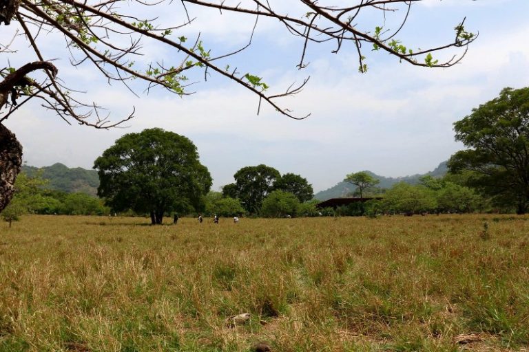 Reclaman justicia para los mártires del río Sumpul en su 44º ...